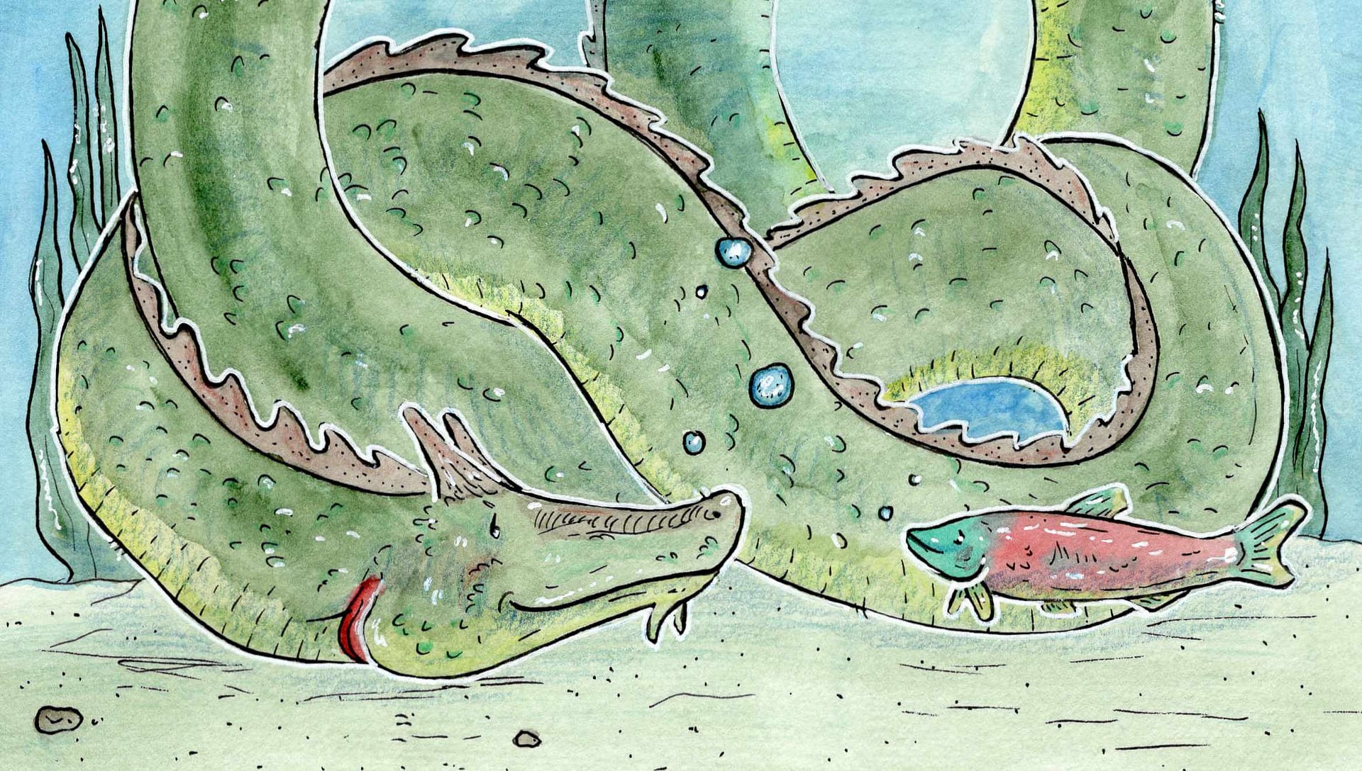 My Top 5 Favorite North American Cryptids to Find - S.R.Pierce Art